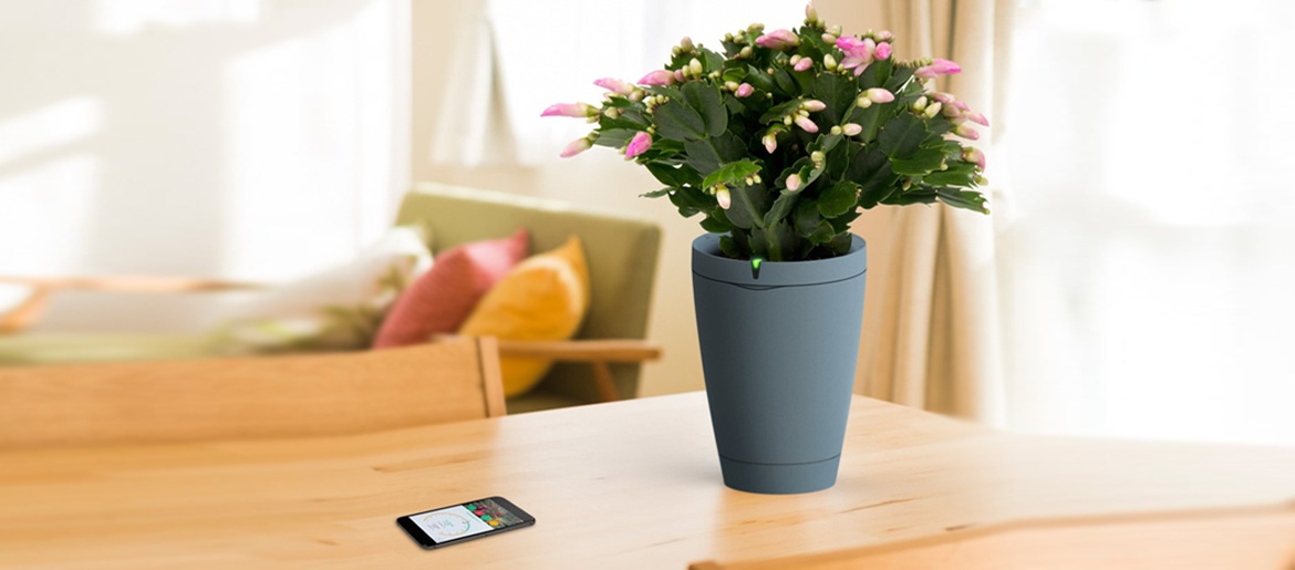 Overview of Smart Gadgets for Plants - Interior Designer Istanbul ...