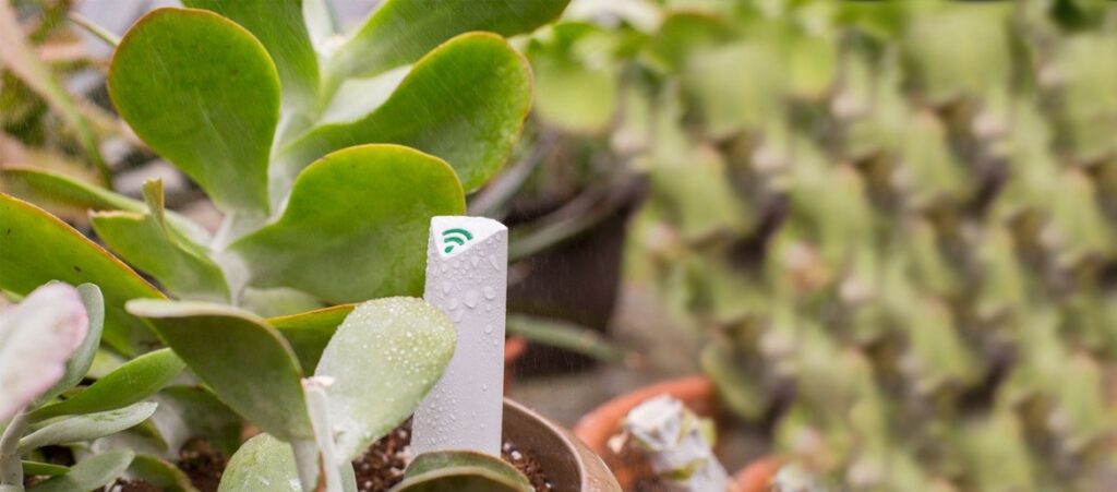 Overview of Smart Gadgets for Plants - Interior Designer Istanbul ...