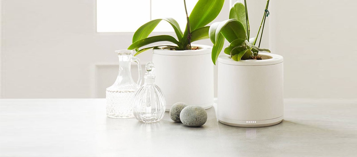 Overview of Smart Gadgets for Plants - Interior Designer Istanbul ...